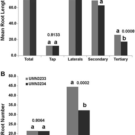 Root Phenotypes Of The Four Selected Alfalfa Populations A Scanned Download Scientific Diagram