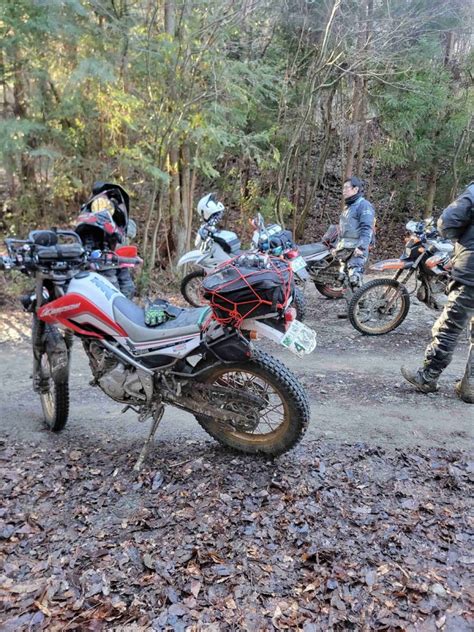 Gori3さんの投稿した愛車情報serow 250 雪のシイタケ、流石に山の天気！お日様出て｜バイクのカスタムツーリング情報