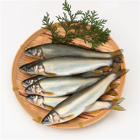 祥鈺水產宜蘭香魚 母 1kg 盒 祥鈺水產