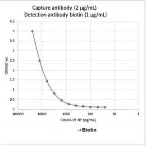 Sars Cov 2 Nucleocapsid Antibody 75g5a Novus Biologicals 005 Mg Unconjugatedantibodies