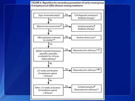 Early Onset Group B Streptococcal Disease Prevention For Clinicians Overview Of Cdc Prevention