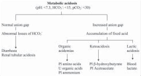 Evaluation Of Metabolic Acidosis Download Scientific Diagram