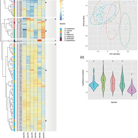 Isolation And Identification Of Ethanol‐tolerant Yeast From Patagonia