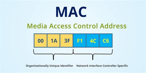 Internet Port Or Lan Port Mac Address For Wireless Repeater Sosfour