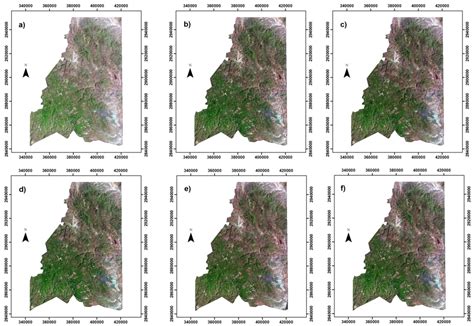 Evaluation Of Radiometric And Atmospheric Correction Algorithms For Aboveground Forest Biomass