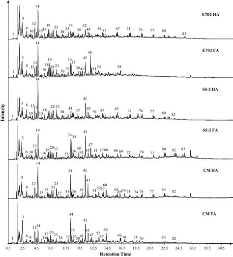 Py Gcms Total Ion Current Pyrogram For All The Hs Samples Peak