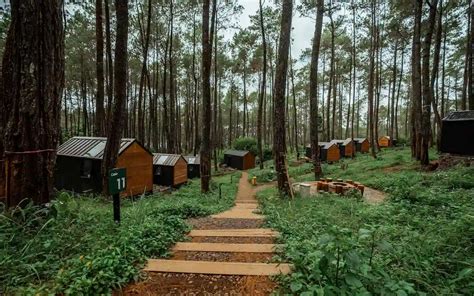 5 Ide Outing Kantor Yang Seru Beserta Rekomendasi Tempatnya