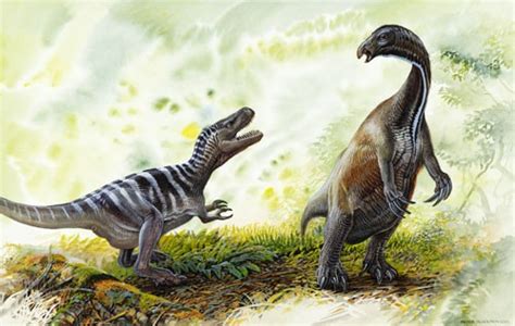 Segnosaurus Pictures And Facts The Dinosaur Database