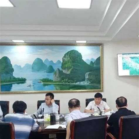 葛国科听取百色市“三区三线”划定工作汇报市人民政府自然资源会议室