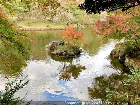 水面に浮かぶ紅葉の写真画像素材 2245139 Snapmartスナップマート