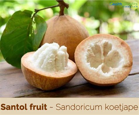 Santol Fruit Facts And Health Benefits