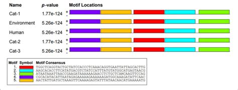 Nucleotide Motifs Of Staphylococcus Aureus Meca Gene Download Scientific Diagram