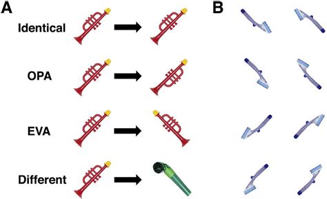 A Schematic Illustration Of The Experimental Conditions B Each