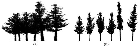 Individual Tree Segmentation From Side View Lidar Point Clouds Of