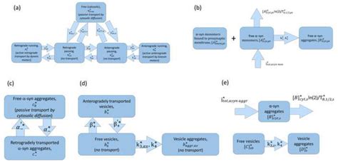 Can The Lack Of Fibrillar Form Of Alpha Synuclein In Lewy Bodies Be Explained By Its Catalytic