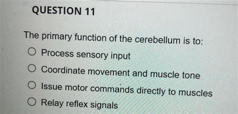 Solved The Primary Function Of The Cerebellum Is To Process Chegg