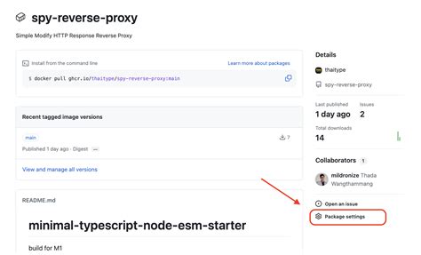 Publishing Docker Image On Github Package Publicly With Github Actions