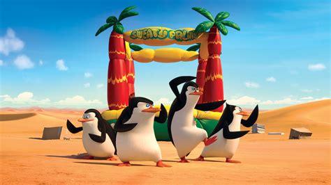 Hd Wallpaper Penguins Of Madagascar Adventure In The Suncreened Desert