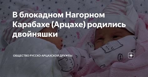 В блокадном Нагорном Карабахе Арцахе родились двойняшки Общество Русско Арцахской дружбы Дзен