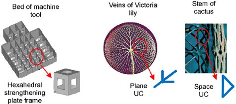Figure 1 From Structure Bionic Topology Design Method Based On Biological Unit Cell Semantic
