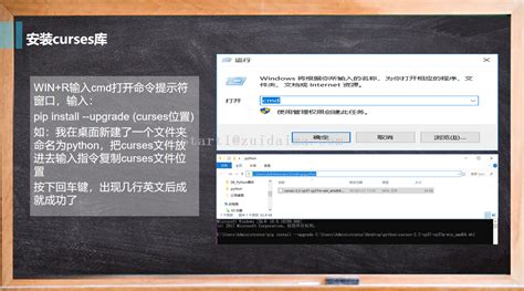 python curses 60行代码开发简易贪吃蛇小游戏 代码 最代码