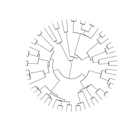 Multidimensional Biodiversity Data Management And Analysis