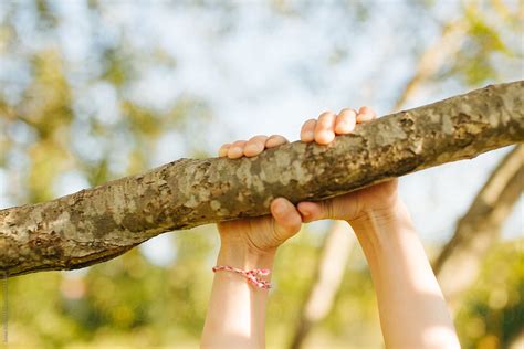 Girl Hanging From A Branch by Stocksy Contributor Jonas Räfling Stocksy
