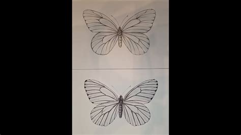 Урок 4 Как рисовать бабочку простым карандашом Как мерить карандашом Youtube