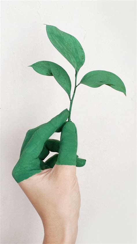 Minimalist Leaf Wallpapers Top Free Minimalist Leaf Backgrounds