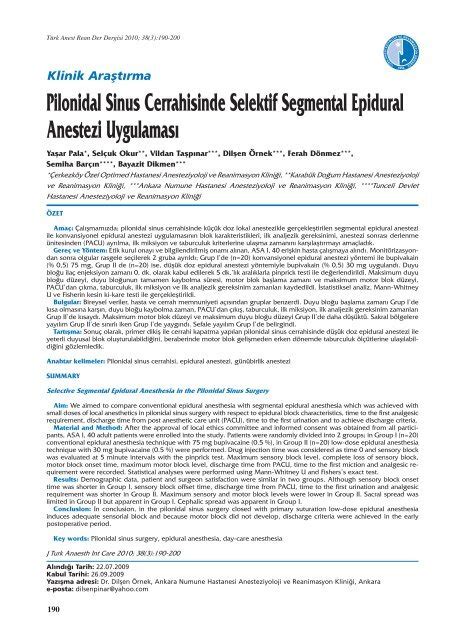 Pilonidal Sinus Cerrahisinde Selektif Segmental Epidural Tard