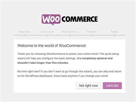 Adding Custom Fields To Simple Products With Woocommerce 2025