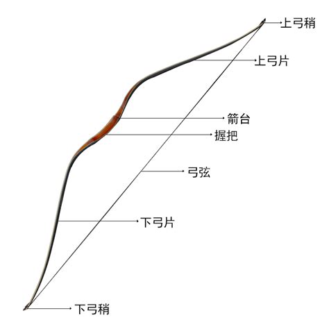 传统一体长弓反曲弓美猎箭射击运动竞技比赛弓箭套装箭馆层压弓片 虎窝淘