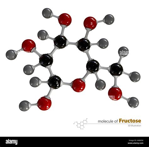Fructose Molecule Model