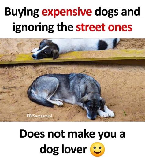 ⋮iw Education Center Поседуваш одредено теориско знаење но ти недостига практично знаење