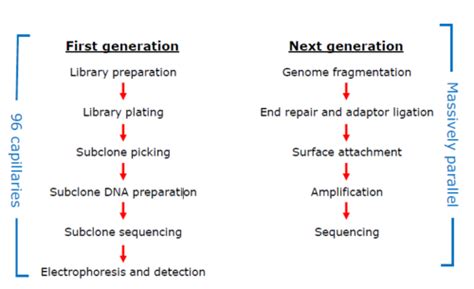 Gn4003 Lecture 10 Dna Sequencing Technology Flashcards Quizlet