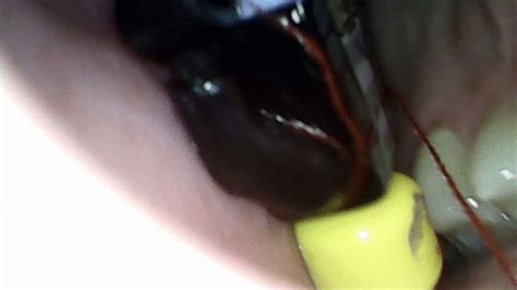 Swallow Lego Figure On String Endo Ameyuki Clips Sale