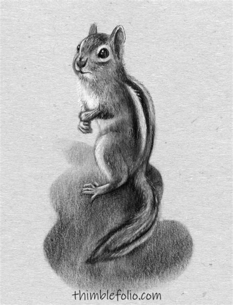 Sk Sketching In Krita V1 50 By Thimblefolio Brushes And Bundles Krita Artists