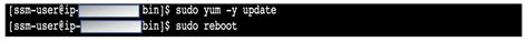 Integrate Amazon Rds Custom For Oracle With Amazon Efs Aws Database Blog