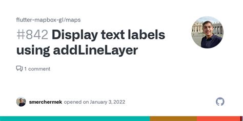Display Text Labels Using Addlinelayer Issue Flutter Mapbox Gl Maps Github