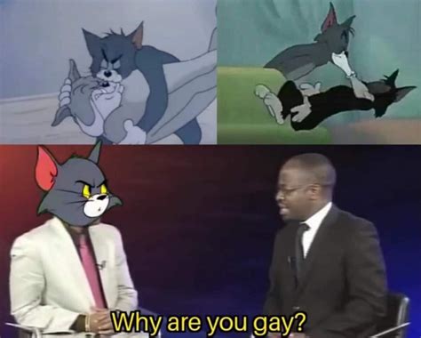 160 Funny Tom And Jerry Memes To Keep You Laughing FandomSpot