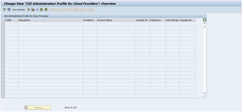CSI PROFILE SAP Tcode CSI Profile Administration