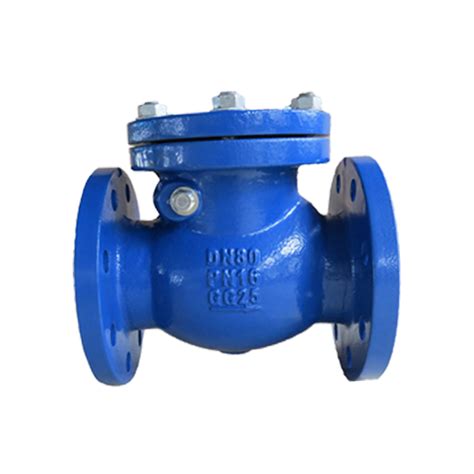 Swing Check Valve Goldensea