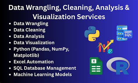 Offer Data Wrangling Cleaning Analysis Visualization In Python Excel By Hafsa Amin Fiverr