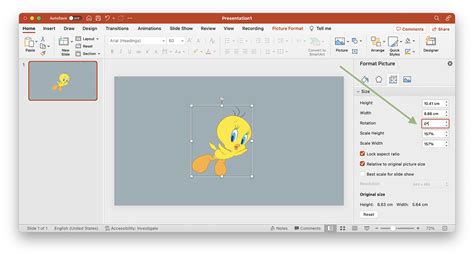 How To Flip And Mirror Images In Powerpoint In 4 Quick Steps Design Shack