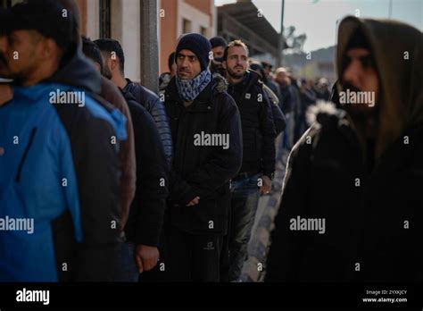 Members Bashar Assads Army Period And Pro Government Militias Line Up