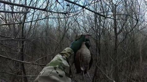 ტყის ქათამზე ნადირობა ️🍁🪶🪶 Youtube