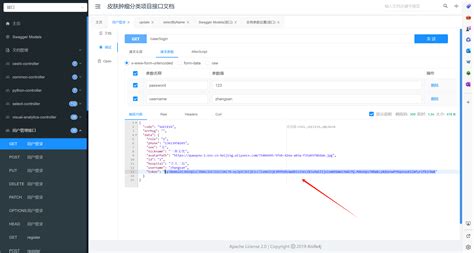 Swagger接口文档 —— 手把手教学，全方位超详细小白能看懂，百分百能用java版 阿里云开发者社区