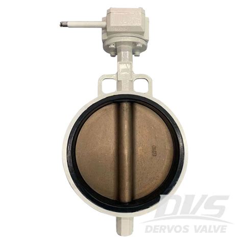 Wcb Wafer Butterfly Valve Pn20 Dn500 Dervos