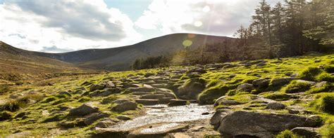 Common Sage 50c Partner B2b Ecommerce Mistakes To Avoid In Ireland Integrated