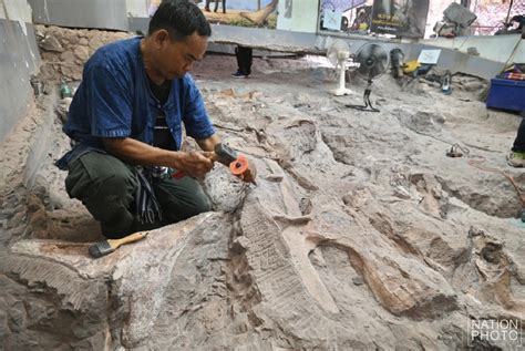 พบยักษ์ใหญ่แห่งหุบเขาไดโนเสาร์ภูเวียง “ฟอสซิลไดโนเสาร์” สายพันธุ์ใหม่ สาระดีๆ Guestpost สาระ